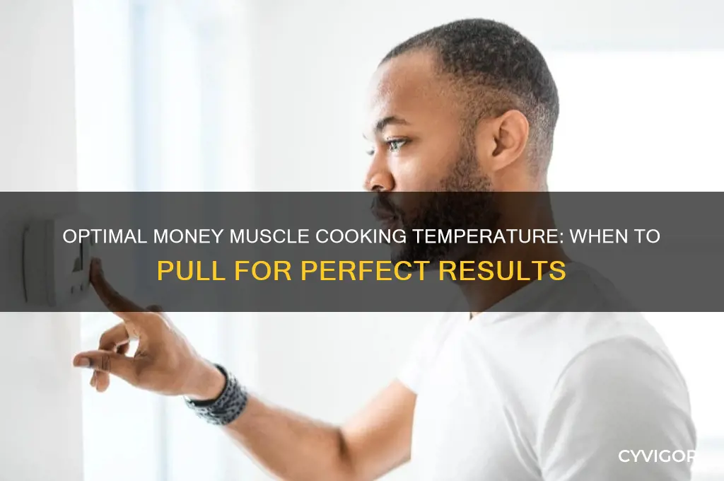 Optimal Money Muscle Cooking Temperature: When To Pull For Perfect ...