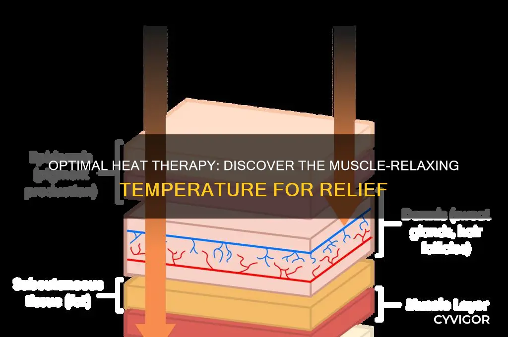Optimal Heat Therapy: Discover The Muscle-Relaxing Temperature For ...