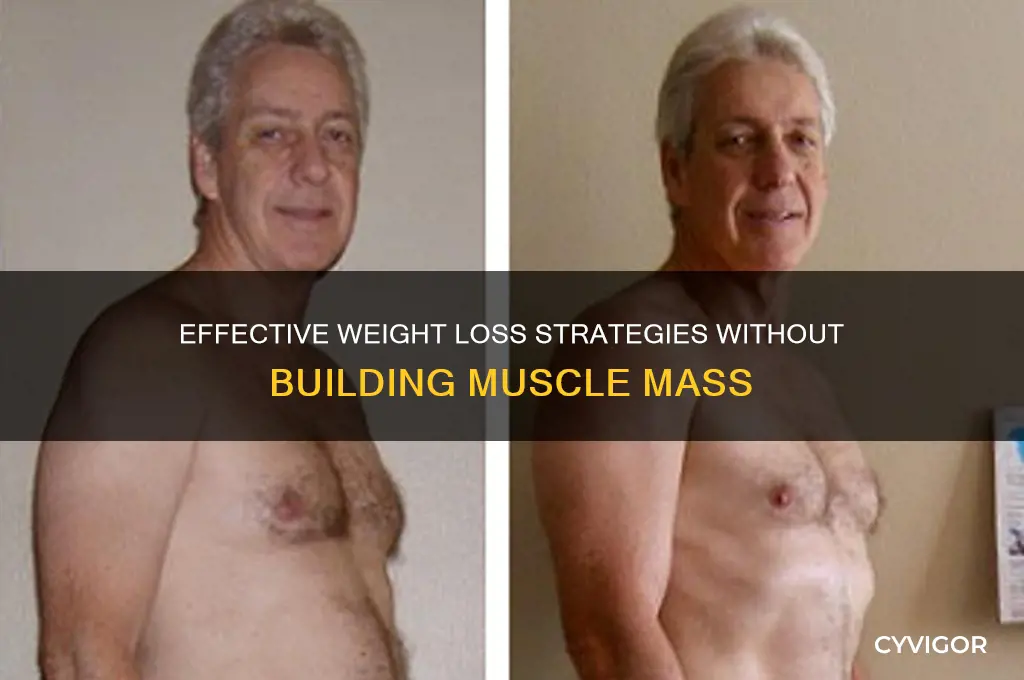 Effective Weight Loss Strategies Without Building Muscle Mass | CyVigor