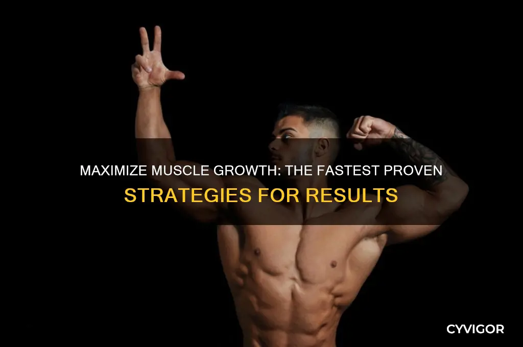 Maximize Muscle Growth: The Fastest Proven Strategies For Results | CyVigor