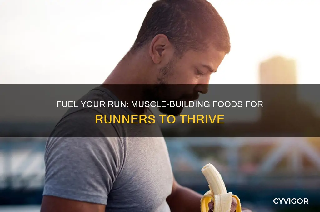 Fuel Your Run: Muscle-Building Foods For Runners To Thrive | CyVigor