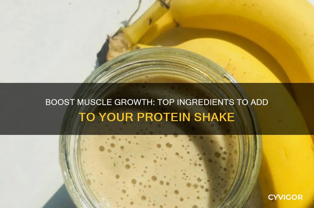 Boost Muscle Growth: Top Ingredients To Add To Your Protein Shake | CyVigor