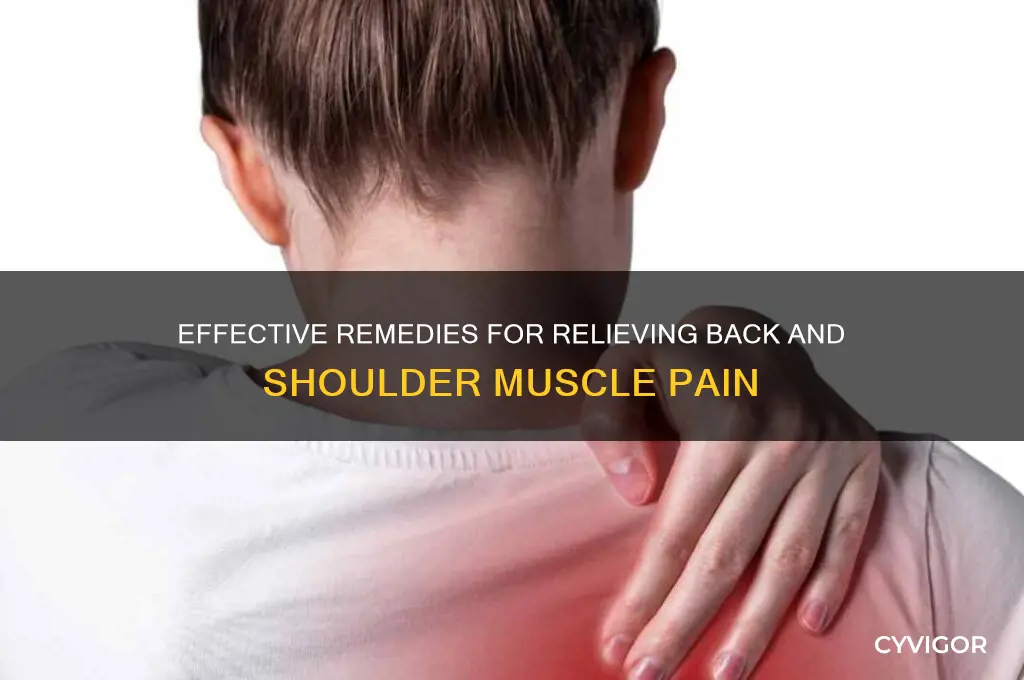 Effective Remedies For Relieving Back And Shoulder Muscle Pain | CyVigor
