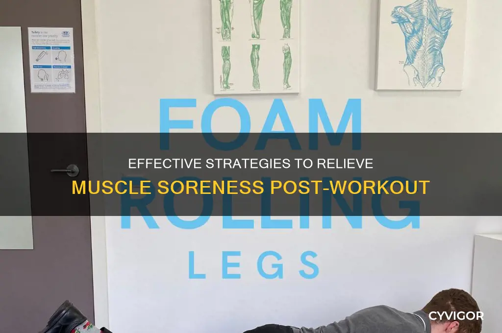 Effective Strategies To Relieve Muscle Soreness Post-Workout | CyVigor