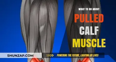 Effective Remedies For Healing A Pulled Trapezius Muscle Quickly | CyVigor