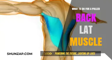 Pulled Back Lat Muscle: Effective Recovery Tips And Remedies | CyVigor