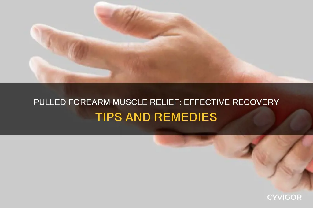 Pulled Forearm Muscle Relief: Effective Recovery Tips And Remedies ...