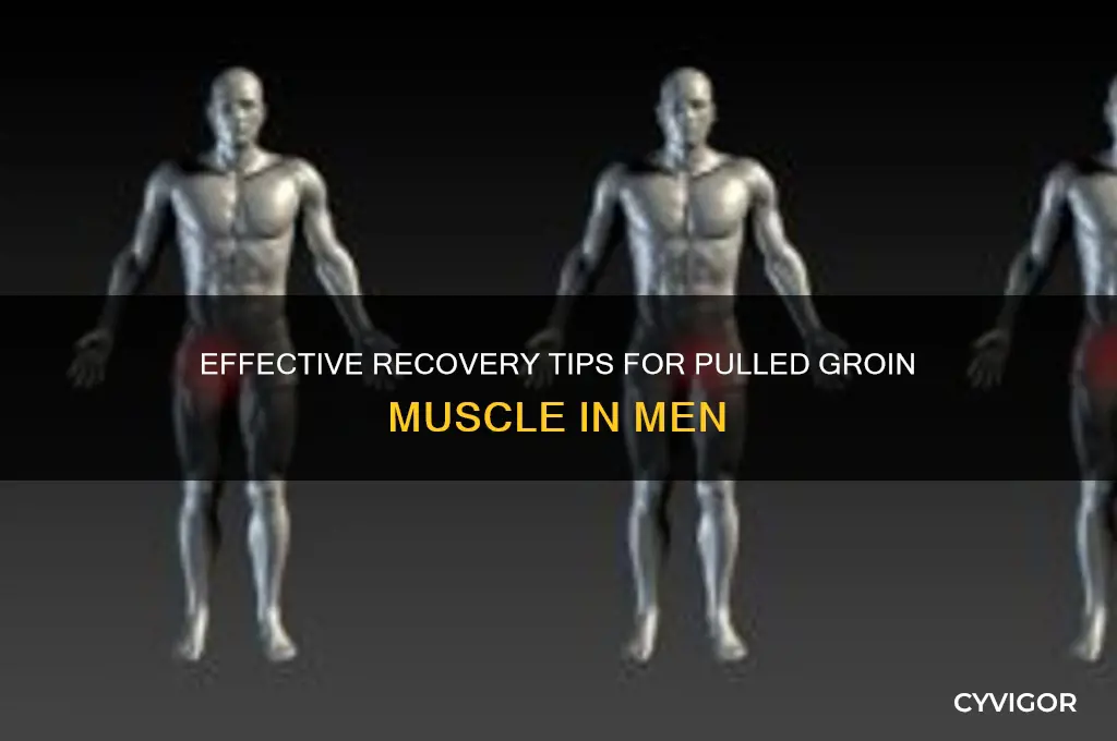 Effective Recovery Tips For Pulled Groin Muscle In Men | CyVigor