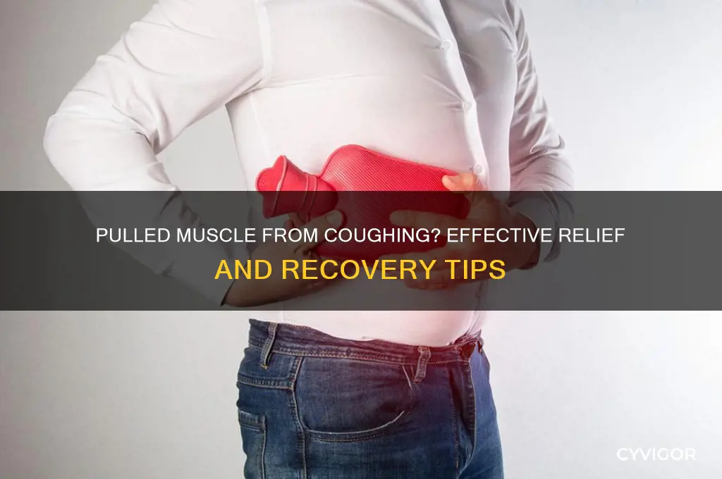 Pulled Muscle From Coughing? Effective Relief And Recovery Tips | CyVigor