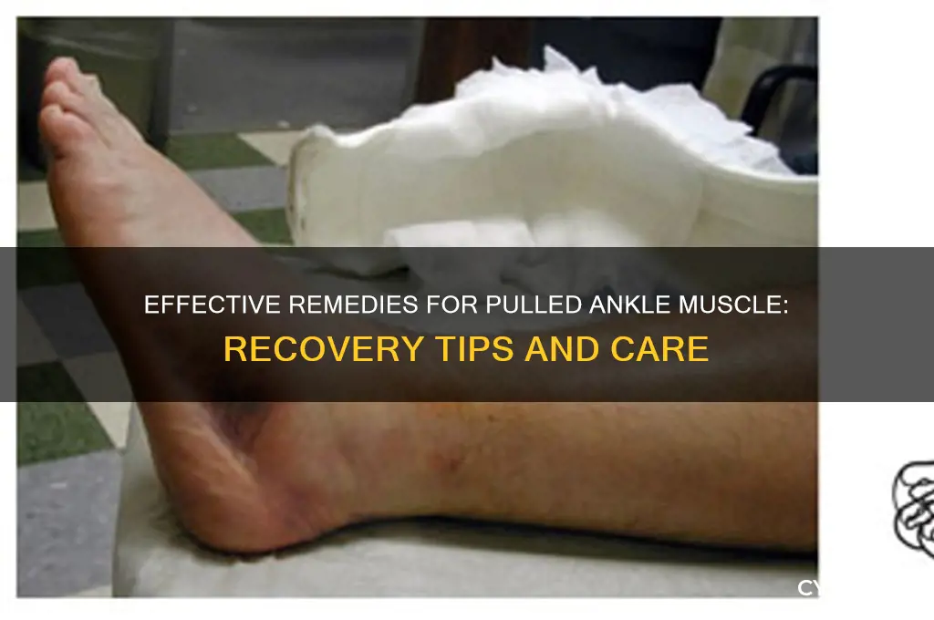 Effective Remedies For Pulled Ankle Muscle: Recovery Tips And Care ...