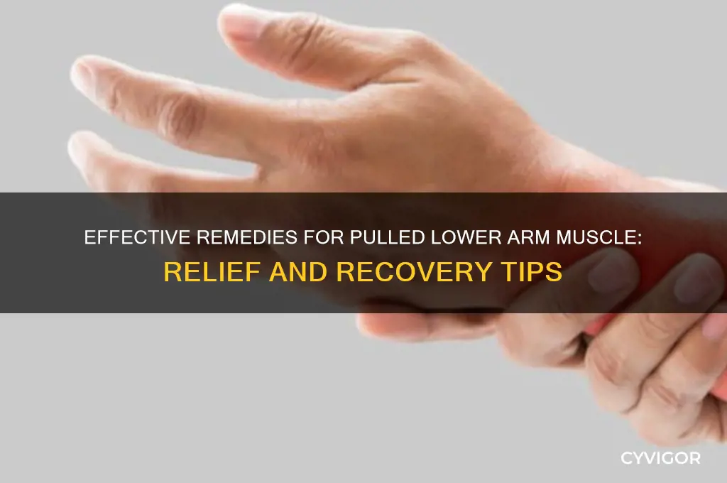 Effective Remedies For Pulled Lower Arm Muscle: Relief And Recovery ...