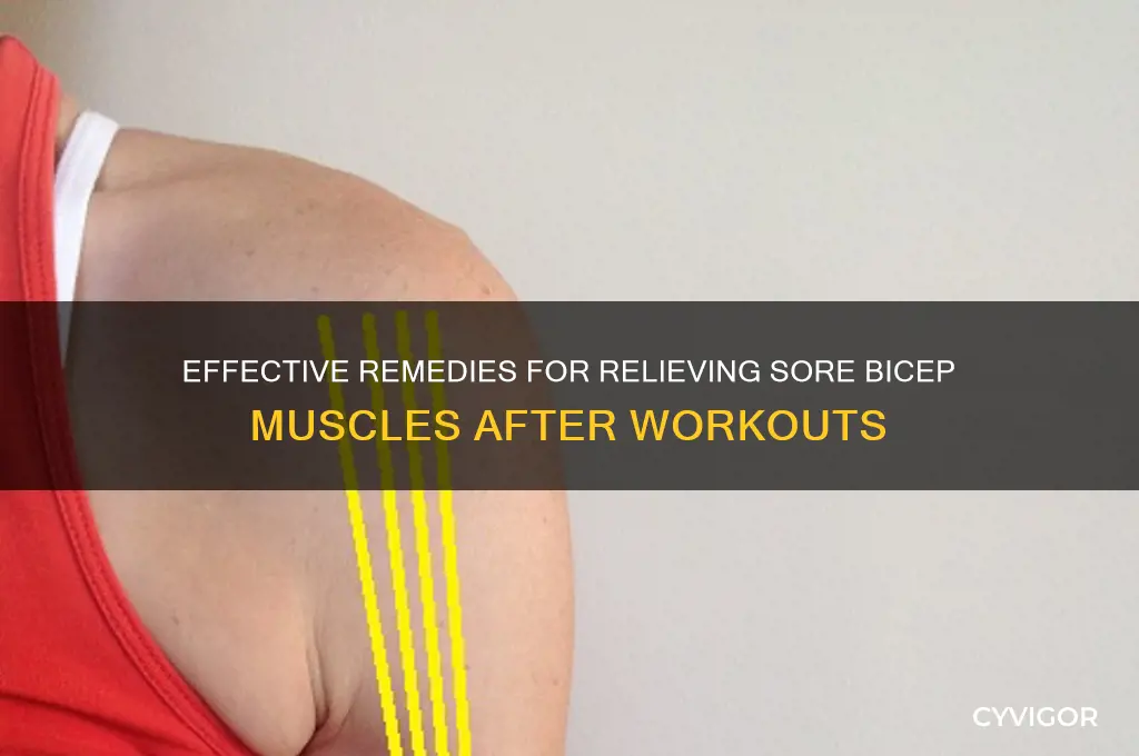 Effective Remedies For Relieving Sore Bicep Muscles After Workouts ...