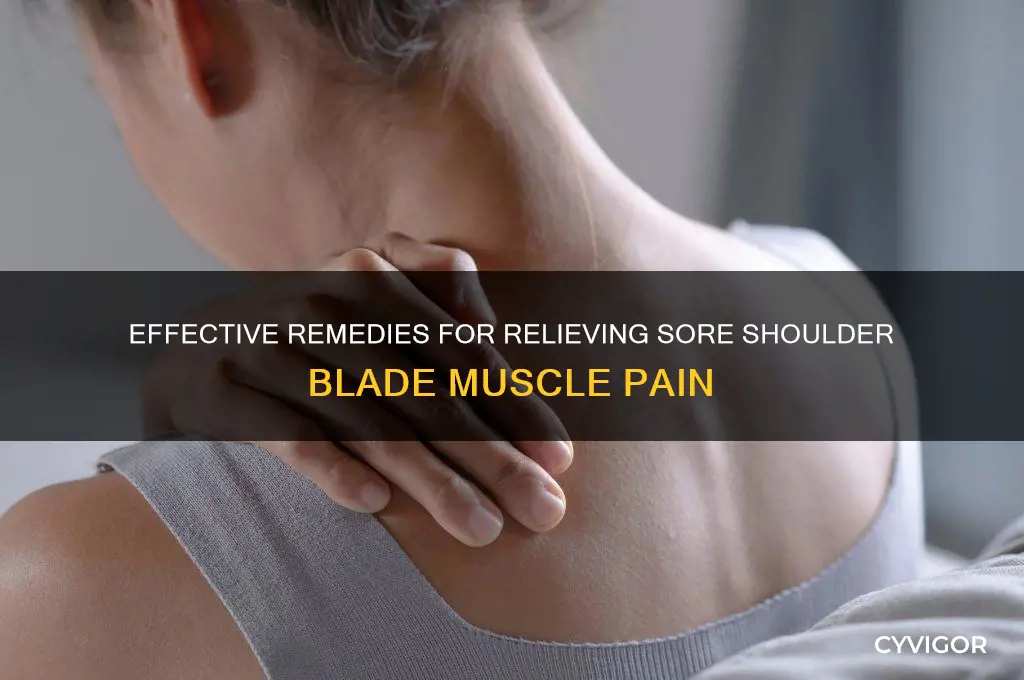 Effective Remedies For Relieving Sore Shoulder Blade Muscle Pain | CyVigor