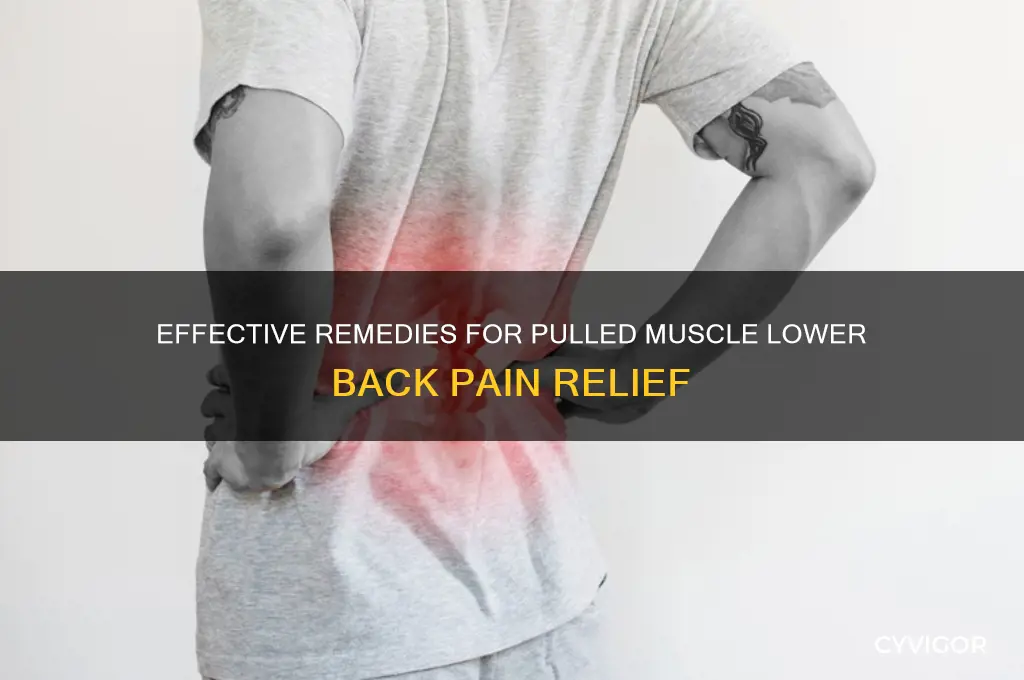 Effective Remedies For Pulled Muscle Lower Back Pain Relief | CyVigor
