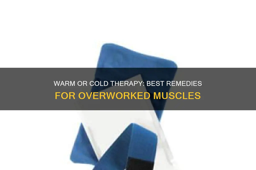 Warm Or Cold Therapy: Best Remedies For Overworked Muscles | CyVigor