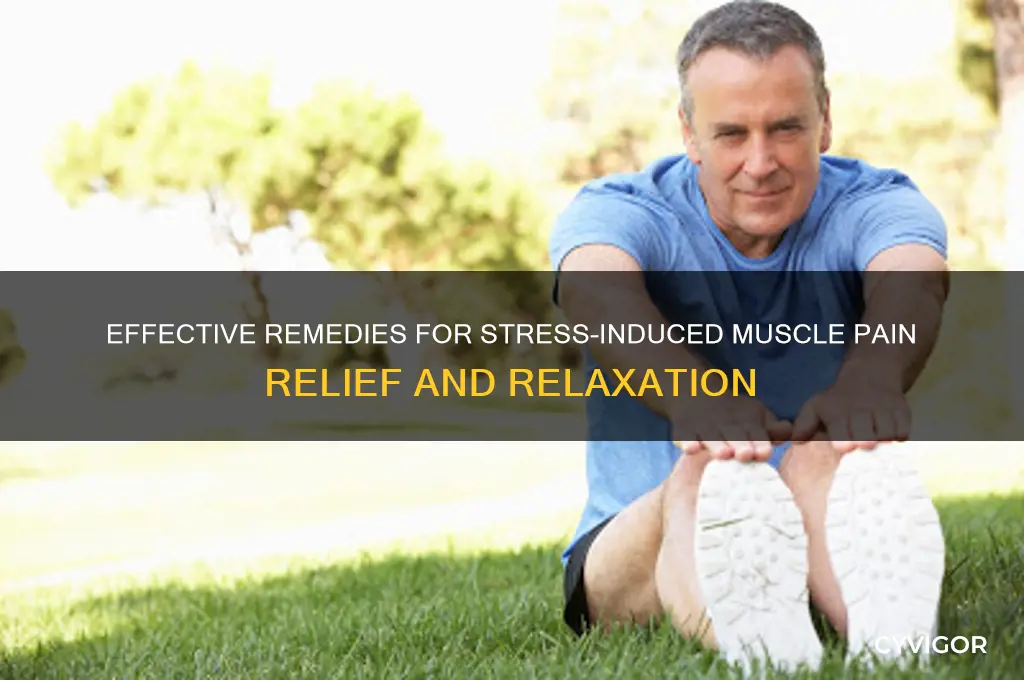 Effective Remedies For Stress-Induced Muscle Pain Relief And Relaxation ...