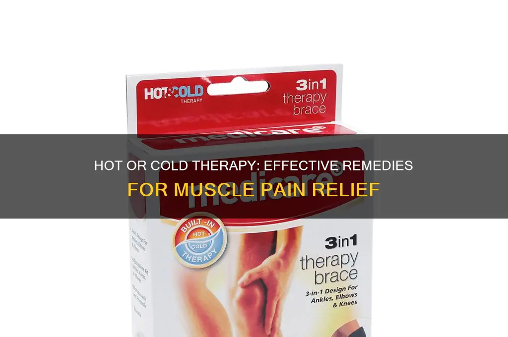 Hot Or Cold Therapy: Effective Remedies For Muscle Pain Relief | CyVigor