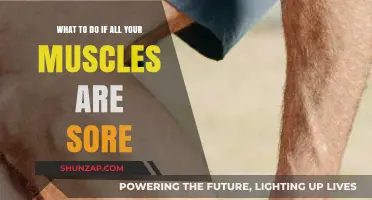 Why Muscles Burn During Exercise: Unraveling The Science Behind The ...