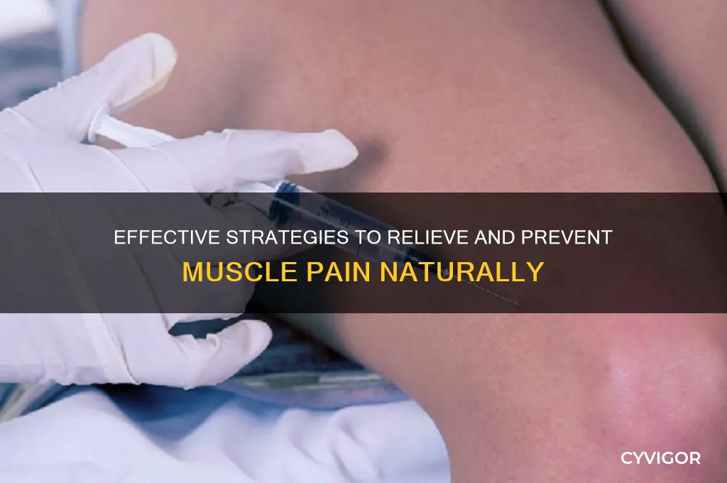 Effective Strategies To Relieve And Prevent Muscle Pain Naturally | CyVigor