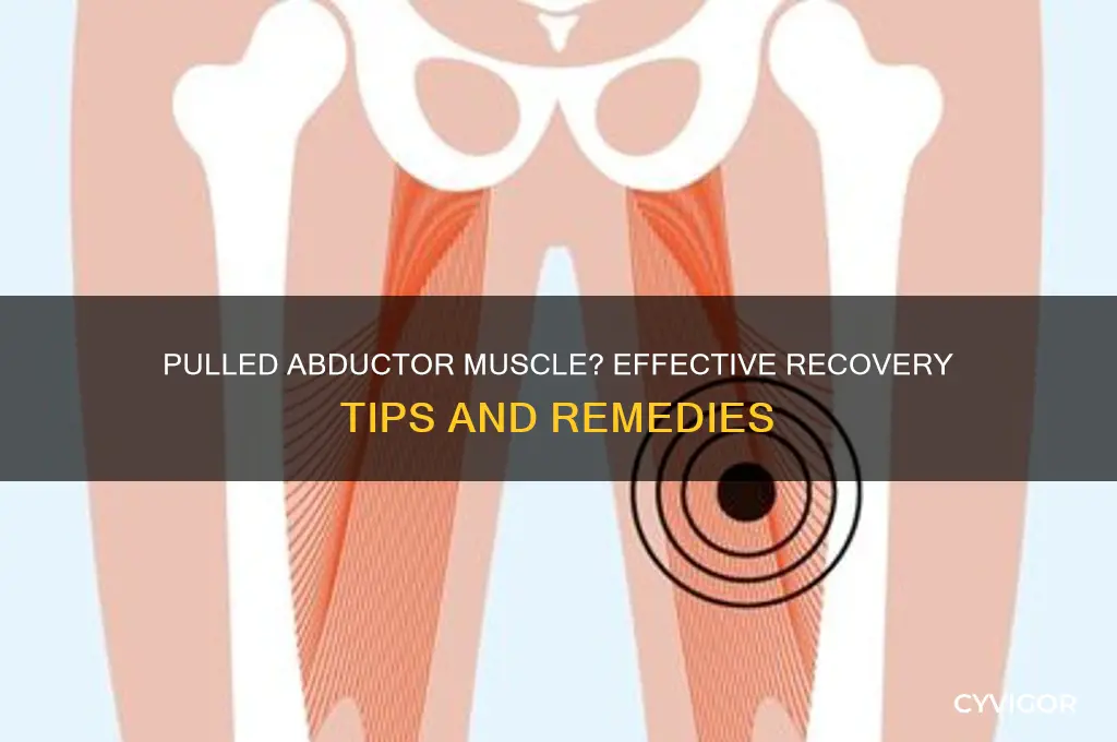 Pulled Abductor Muscle? Effective Recovery Tips And Remedies | CyVigor