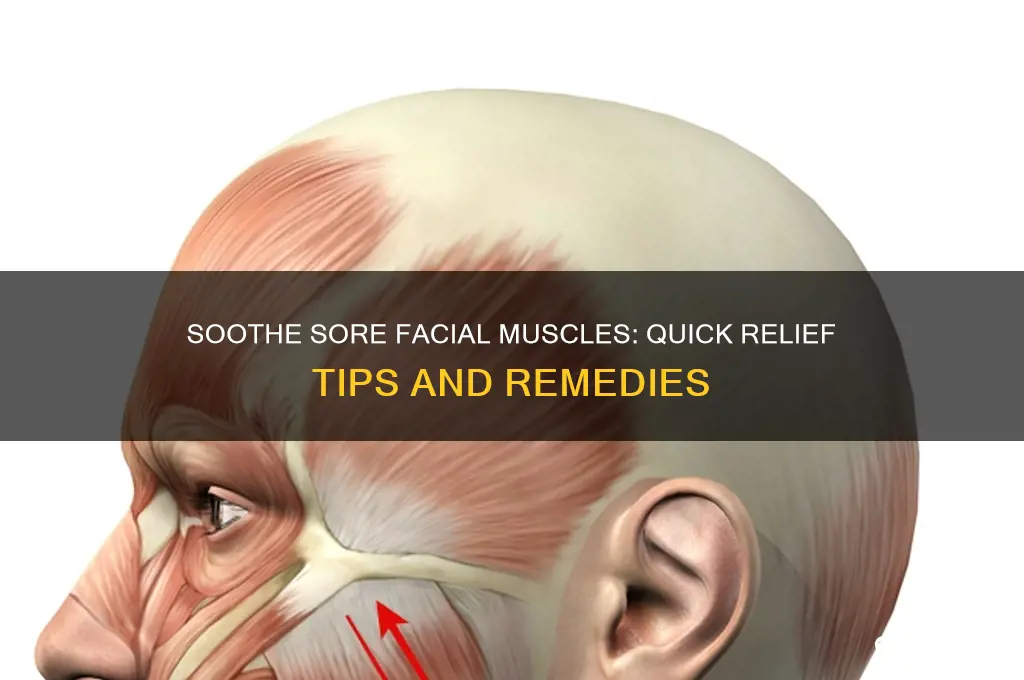Soothe Sore Facial Muscles: Quick Relief Tips And Remedies | CyVigor