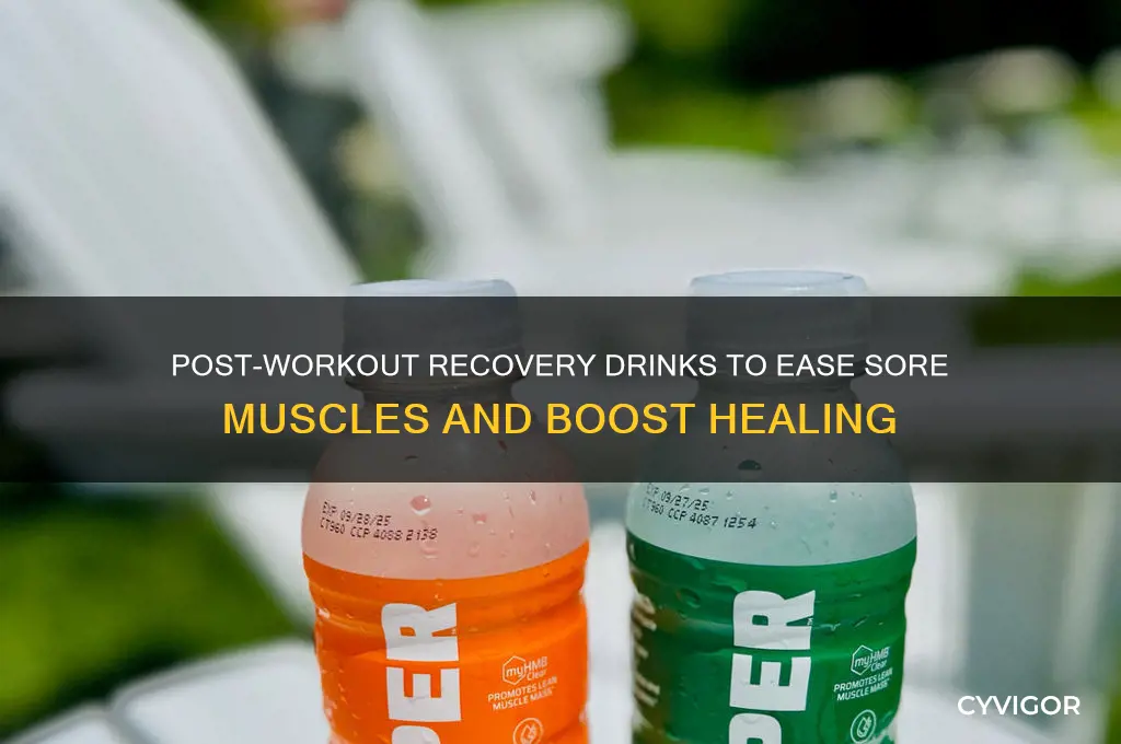 Post-Workout Recovery Drinks To Ease Sore Muscles And Boost Healing ...
