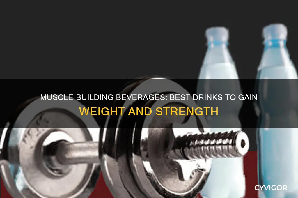 Muscle-Building Beverages: Best Drinks To Gain Weight And Strength ...