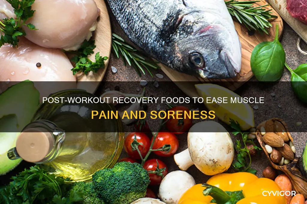 Post-Workout Recovery Foods To Ease Muscle Pain And Soreness | CyVigor
