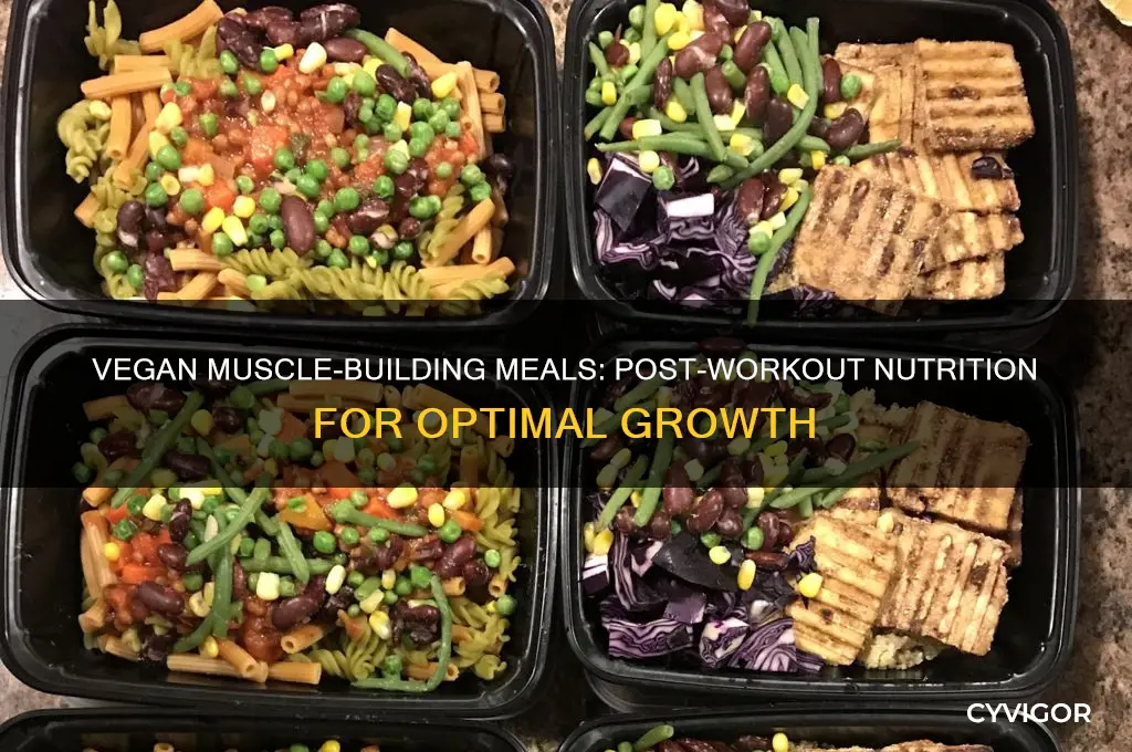 Vegan Muscle-Building Meals: Post-Workout Nutrition For Optimal Growth ...
