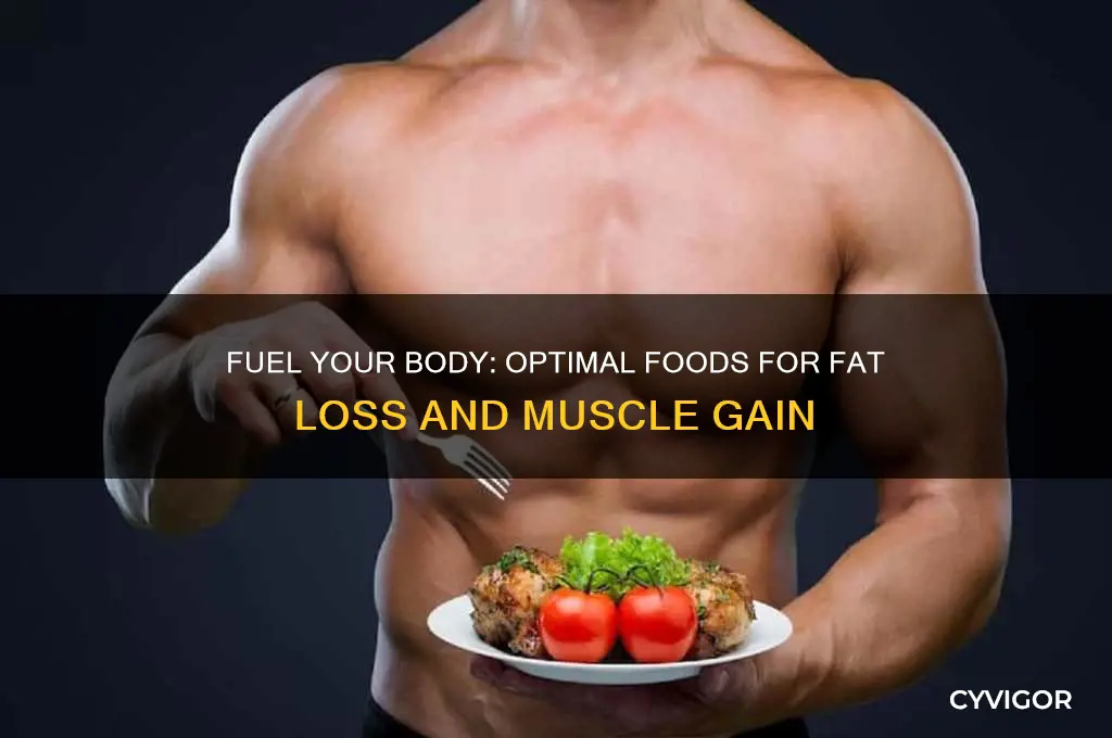 Fuel Your Body: Optimal Foods For Fat Loss And Muscle Gain | CyVigor