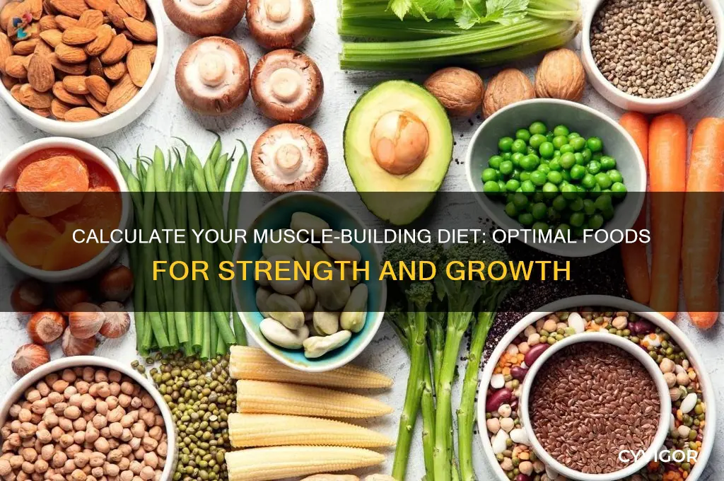Calculate Your Muscle-Building Diet: Optimal Foods For Strength And ...