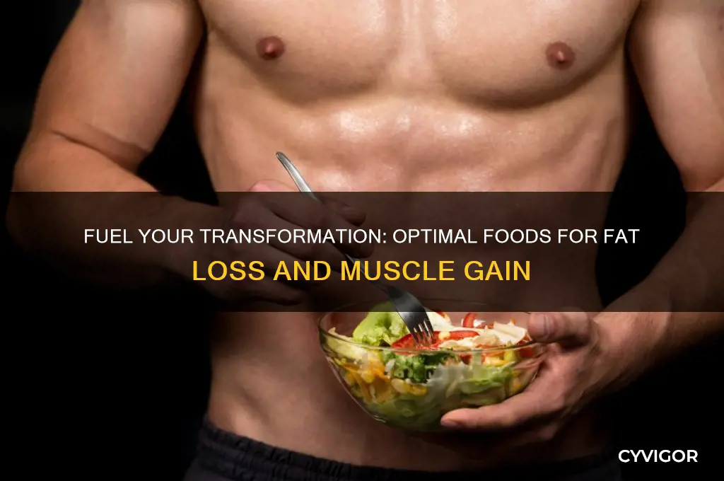 Fuel Your Transformation: Optimal Foods For Fat Loss And Muscle Gain ...