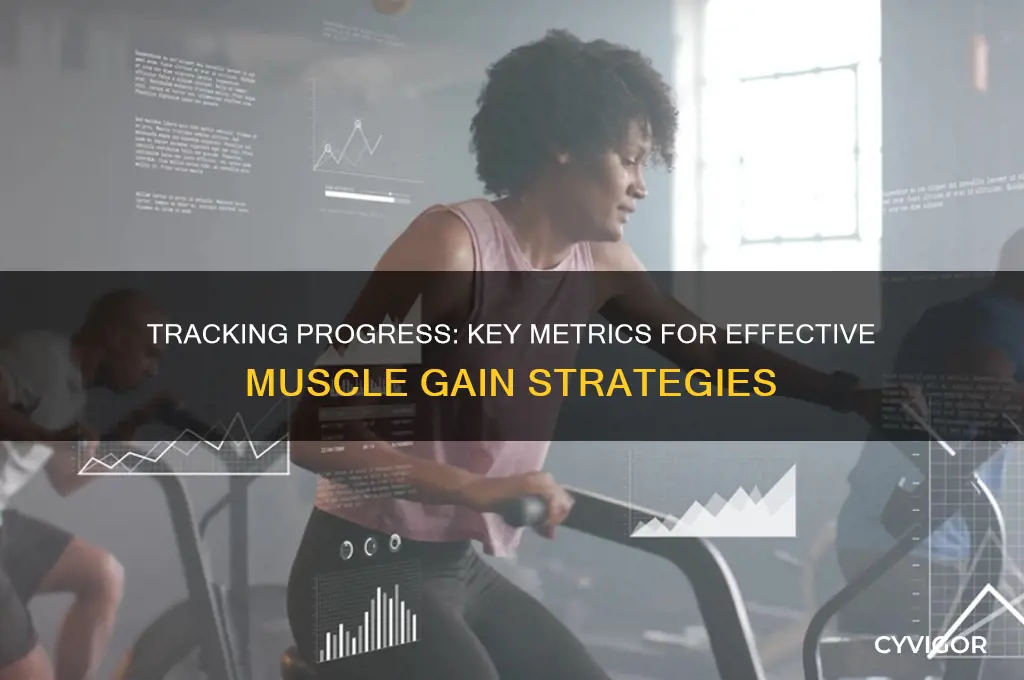 Tracking Progress: Key Metrics For Effective Muscle Gain Strategies ...