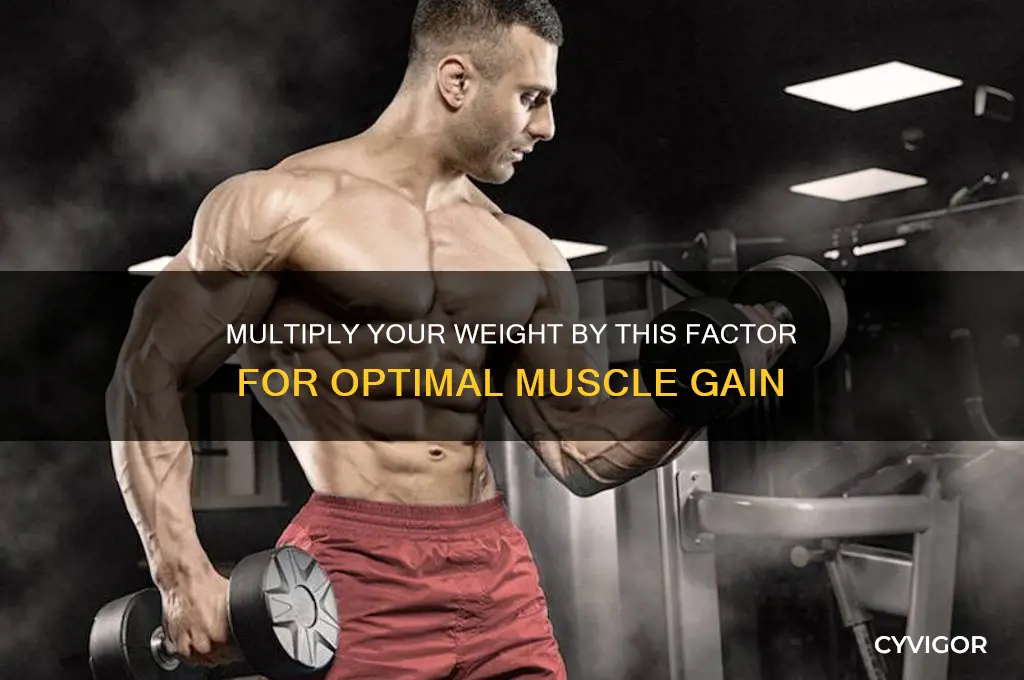 Multiply Your Weight By This Factor For Optimal Muscle Gain | CyVigor