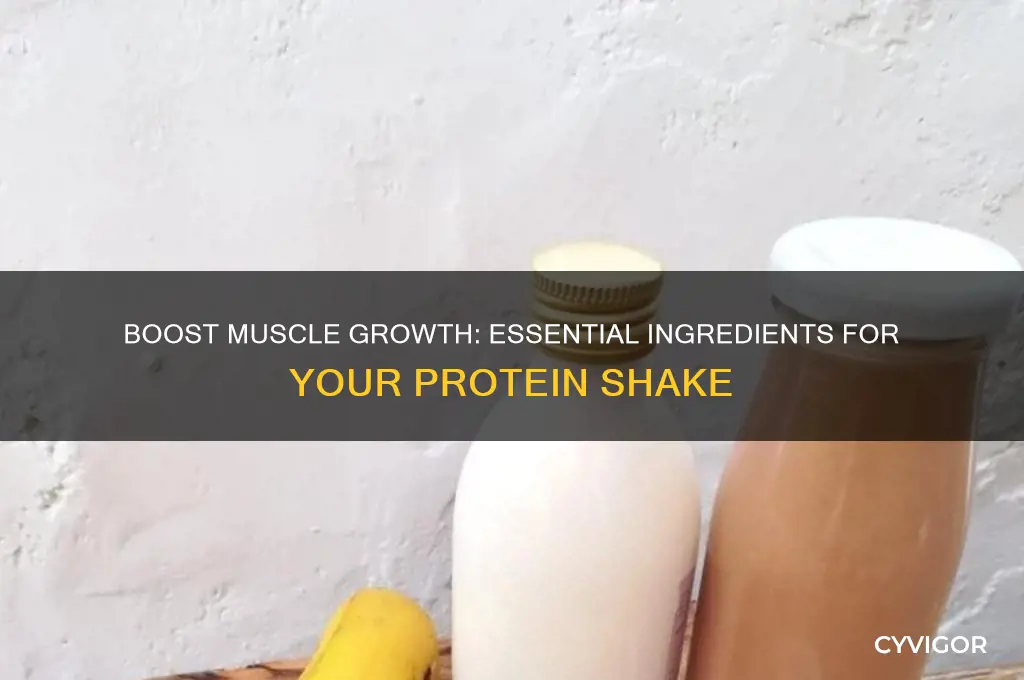 Boost Muscle Growth: Essential Ingredients For Your Protein Shake | CyVigor