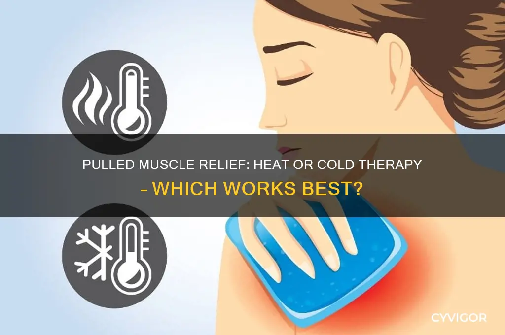 Pulled Muscle Relief: Heat Or Cold Therapy – Which Works Best? | CyVigor