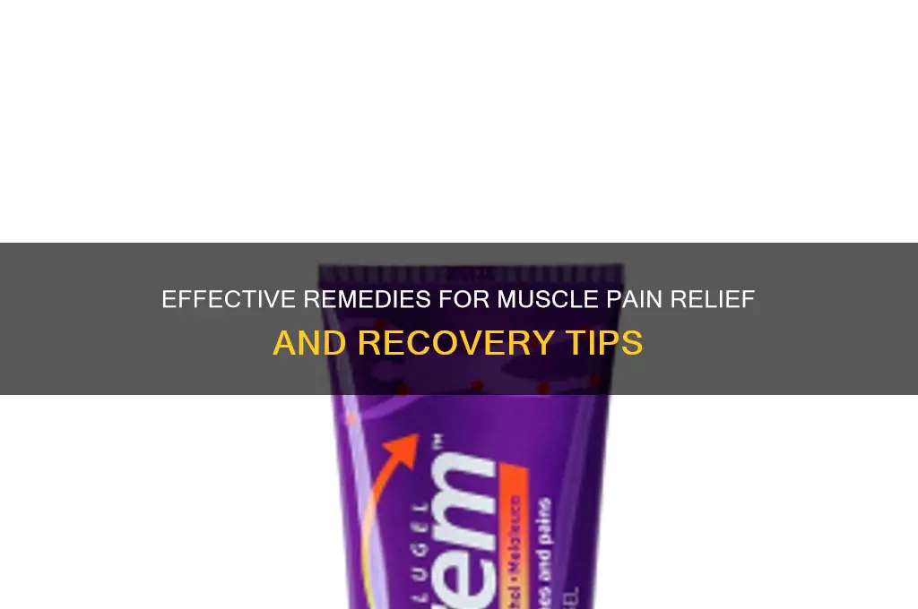 Effective Remedies For Muscle Pain Relief And Recovery Tips | CyVigor