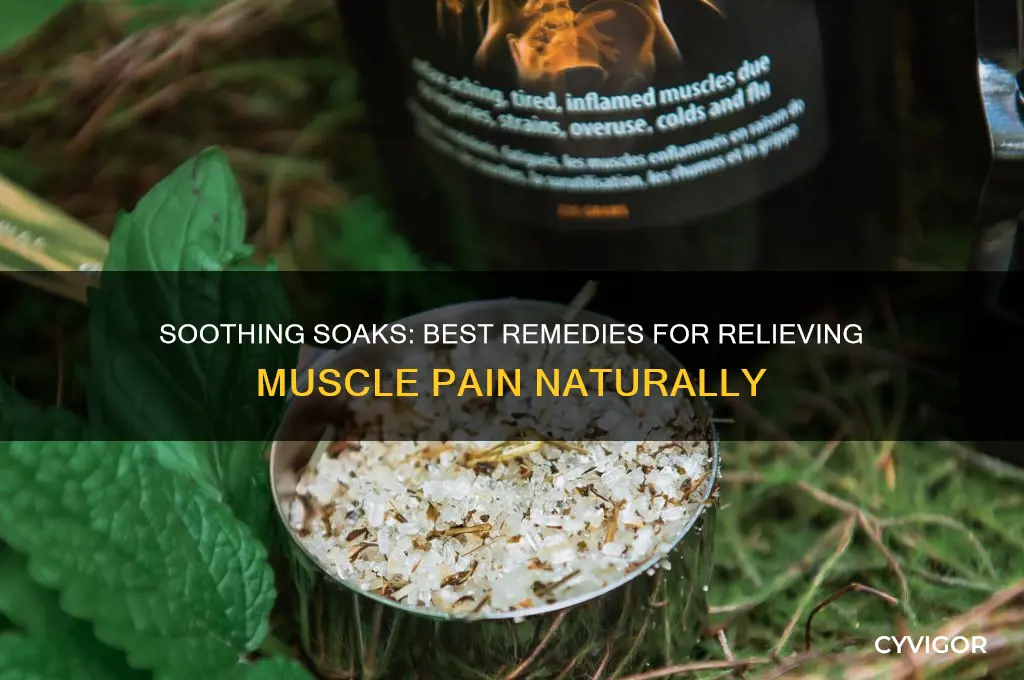 Soothing Soaks: Best Remedies For Relieving Muscle Pain Naturally | CyVigor
