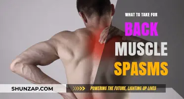 Exploring The Anatomy Of Back Muscles: A Visual Guide | CyVigor