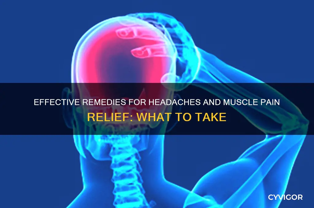 Effective Remedies For Headaches And Muscle Pain Relief: What To Take ...