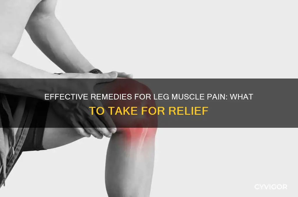 Effective Remedies For Leg Muscle Pain: What To Take For Relief | CyVigor