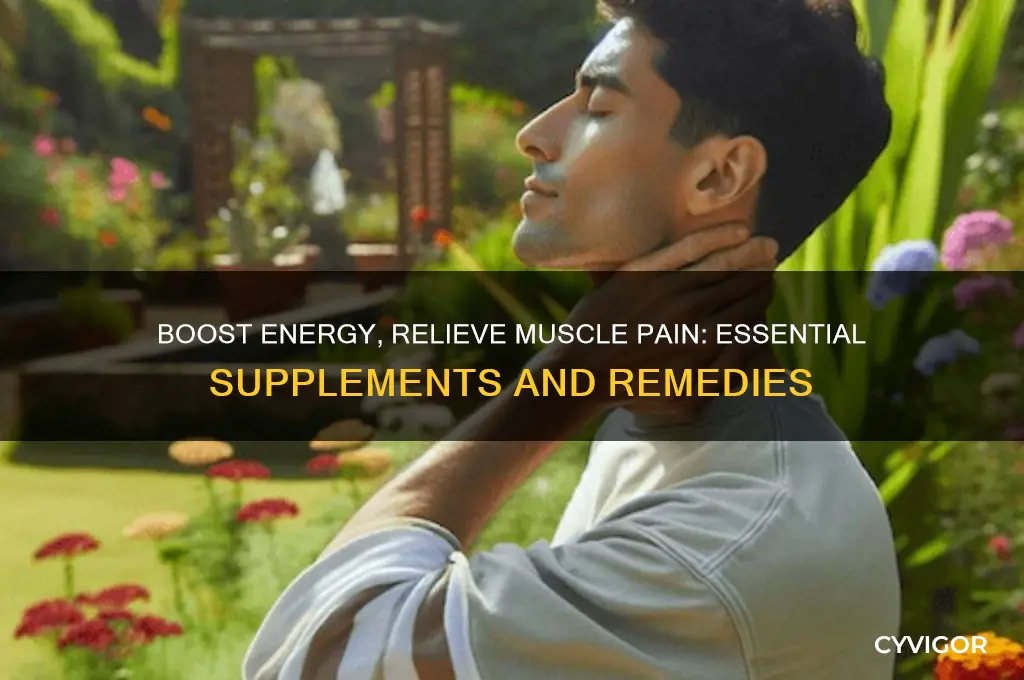 Boost Energy, Relieve Muscle Pain: Essential Supplements And Remedies ...
