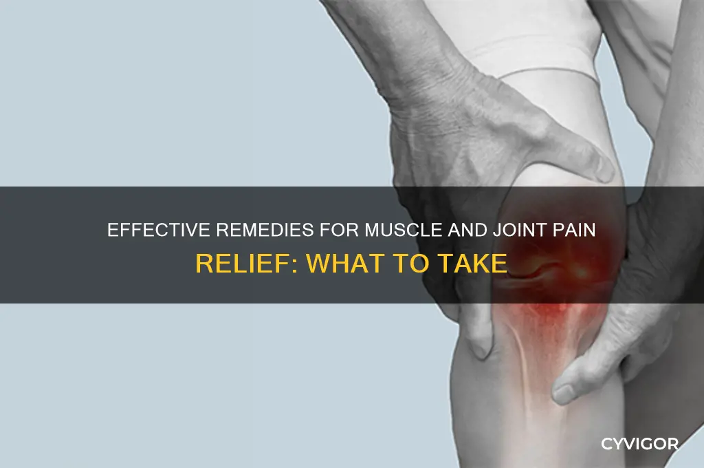 Effective Remedies For Muscle And Joint Pain Relief: What To Take | CyVigor