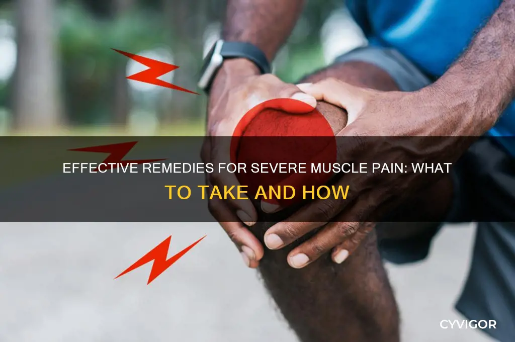 Effective Remedies For Severe Muscle Pain: What To Take And How | CyVigor