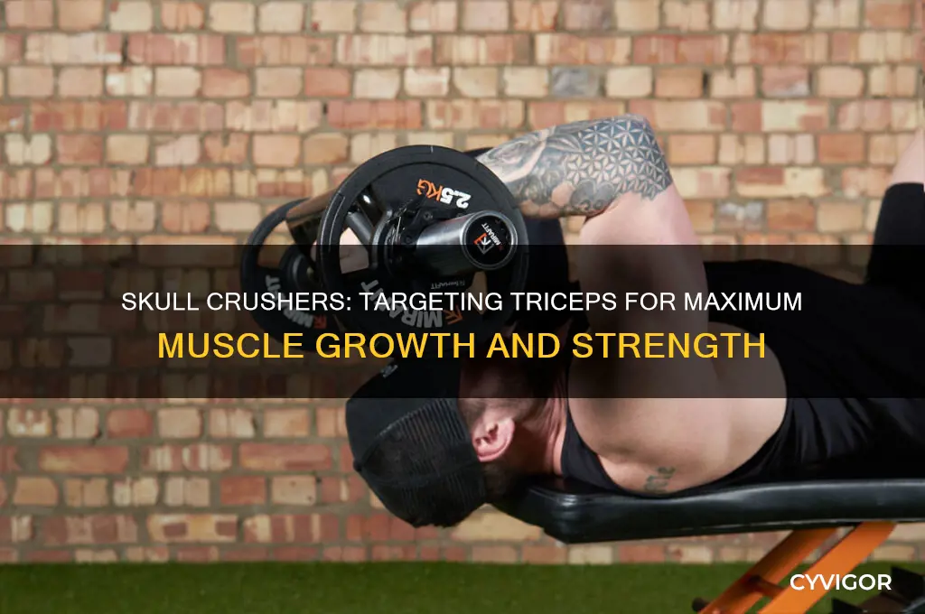 Skull Crushers: Targeting Triceps For Maximum Muscle Growth And ...