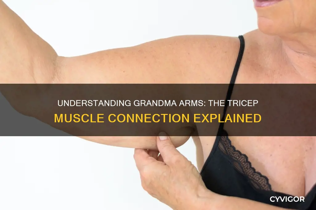 Understanding Grandma Arms: The Tricep Muscle Connection Explained ...