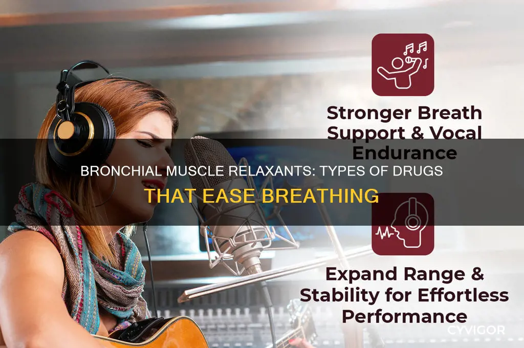 Bronchial Muscle Relaxants: Types Of Drugs That Ease Breathing | CyVigor