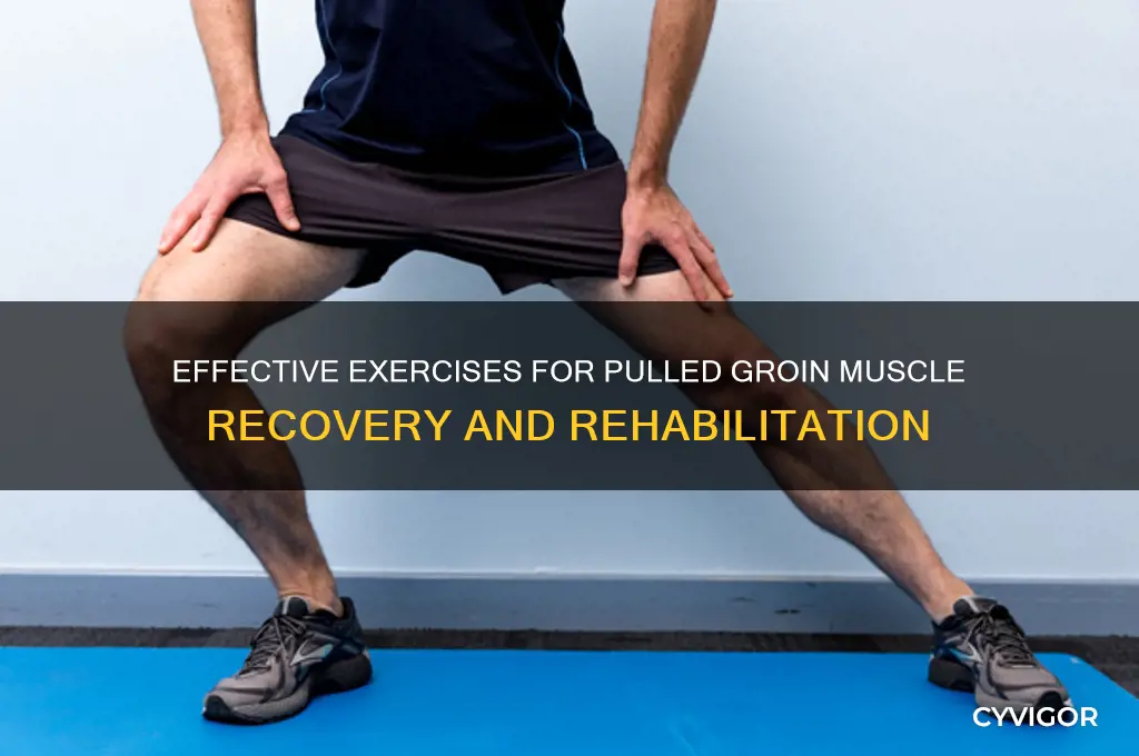 Effective Exercises For Pulled Groin Muscle Recovery And Rehabilitation ...