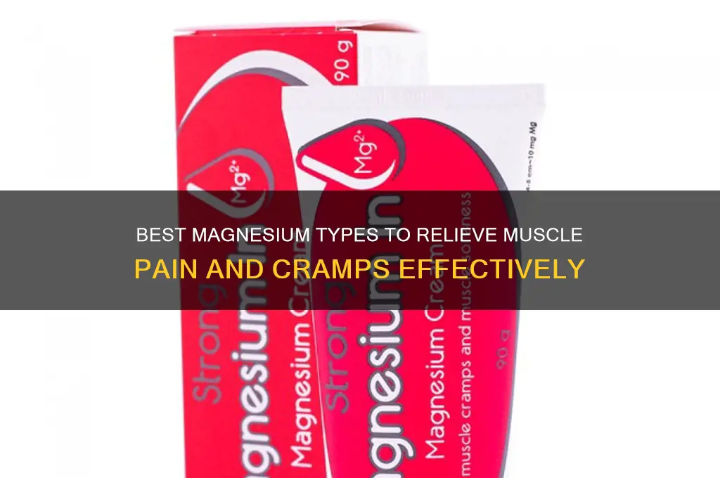 Best Magnesium Types To Relieve Muscle Pain And Cramps Effectively ...