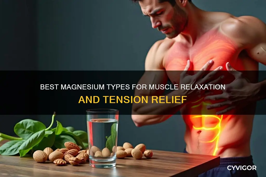 Best Magnesium Types For Muscle Relaxation And Tension Relief | CyVigor